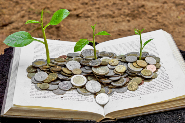 7 Tips for Investing on a Small Income – Tahi Real Estate